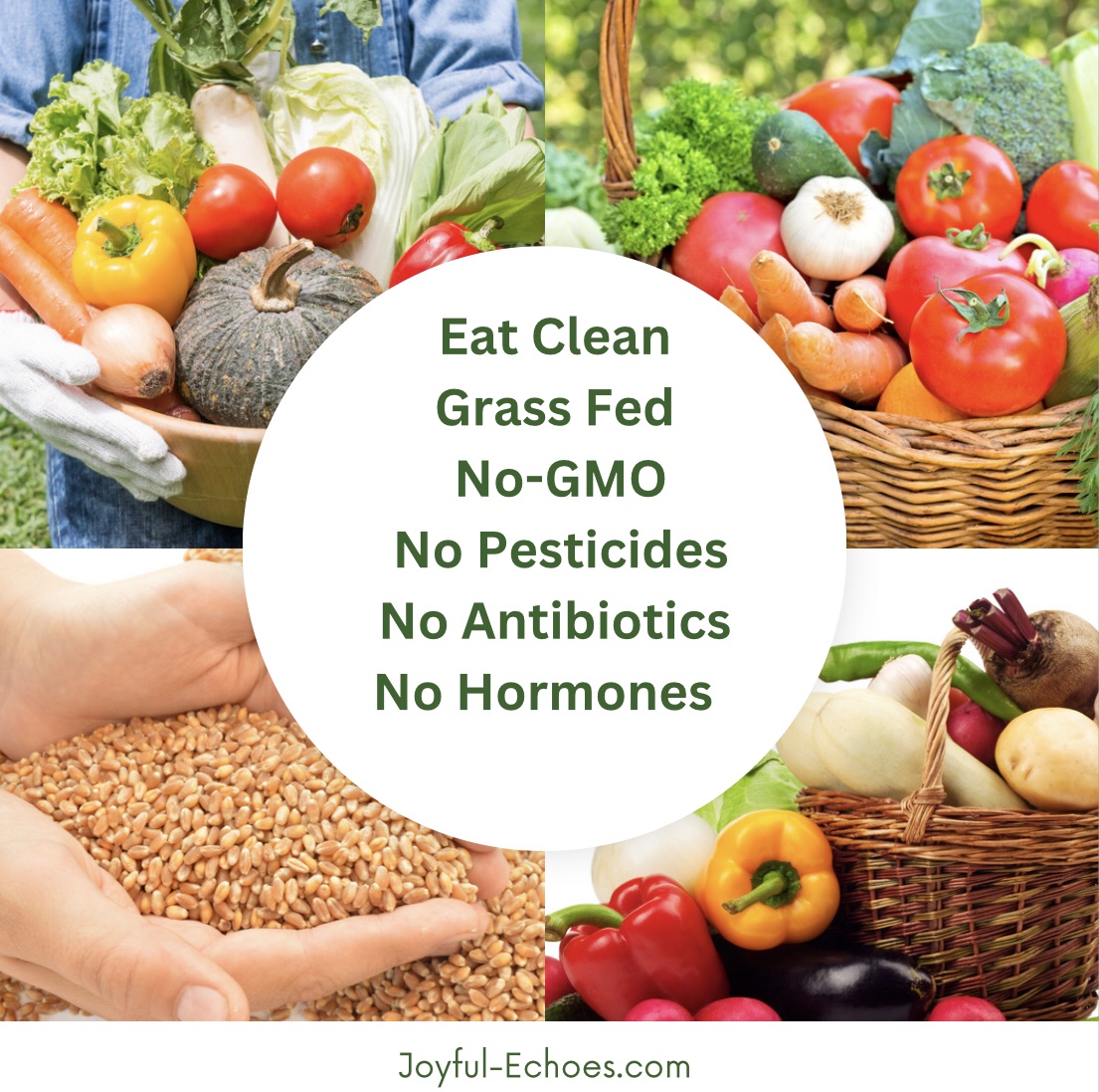 Eating Clean – Biblically – Joyful-Echoes