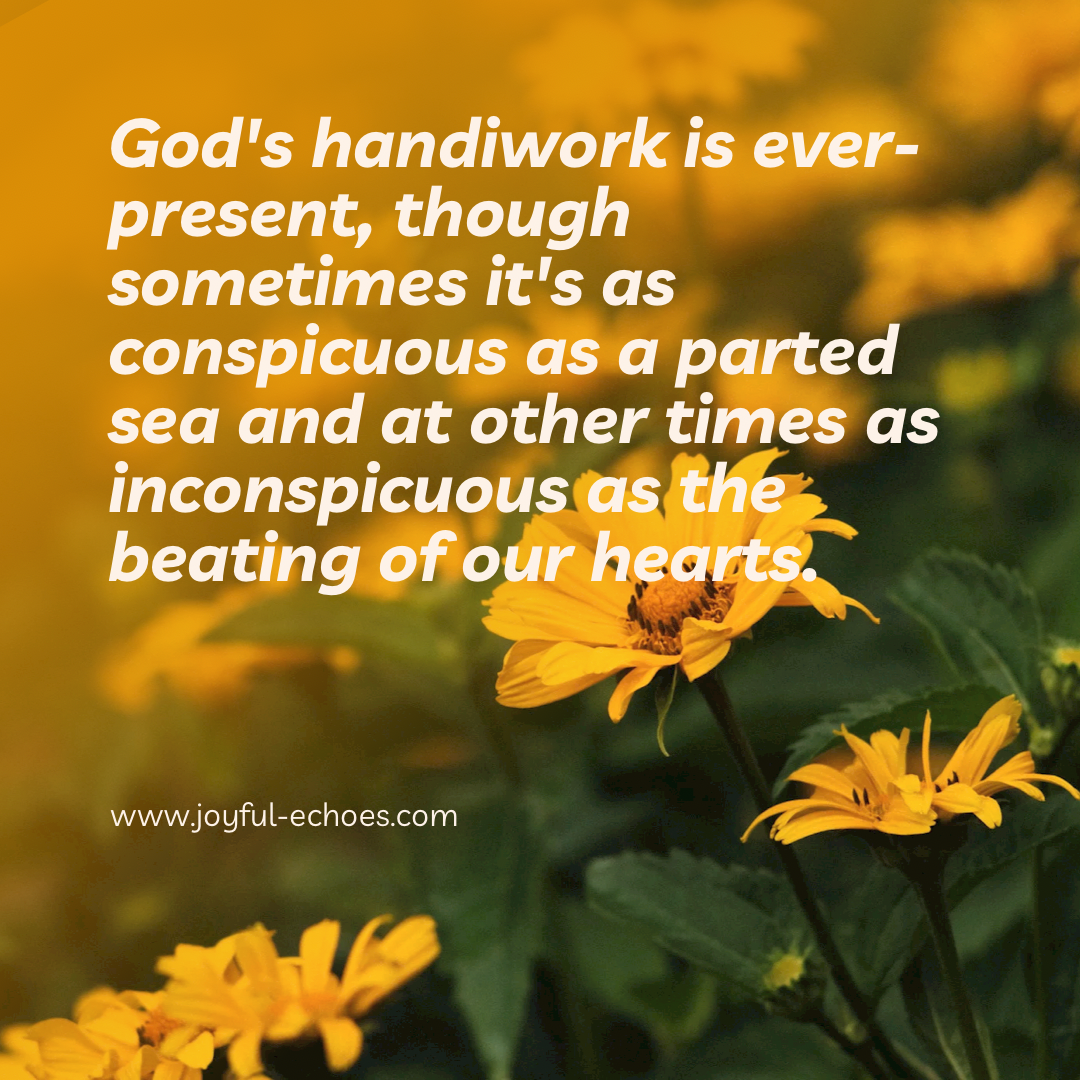 Opening Our Eyes to God’s Work: Recognizing the Miracles Around Us ...